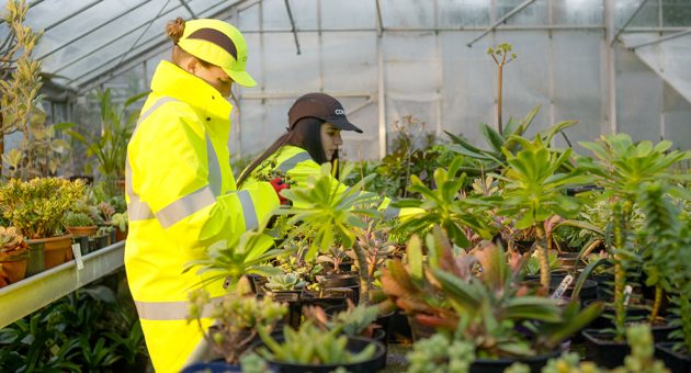 Cormac - Project Case Studies